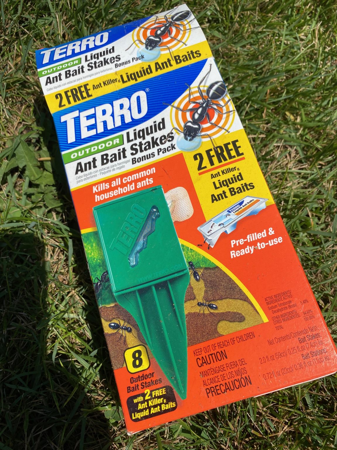 Simple way to get rid of Ants – ScottiesDIY